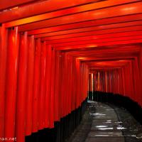 Walking through thousands of Torii