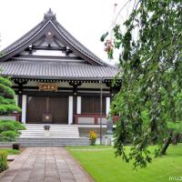 Sightseeing Tokyo, Genku-ji Temple