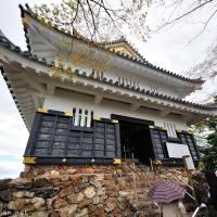 Gifu Castle, the story of a name