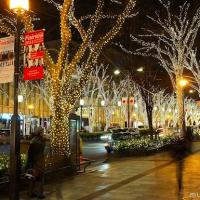 Omotesando Winter Illumination