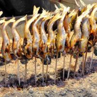 Popular Japanese food, salt grilled Ayu