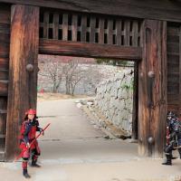 Matsuyama Castle guards