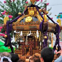 Japanese traditions - Mikoshi parade