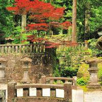Japanese traditions, Momijigari, autumn nature celebration