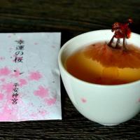 Sakura tea