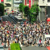 Shibuya Scramble Crossing Crowd