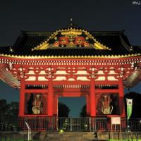 Daitoku-in Mausoleum Somon Gate Night View