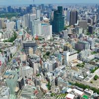 Tokyo, the largest megacity in the world